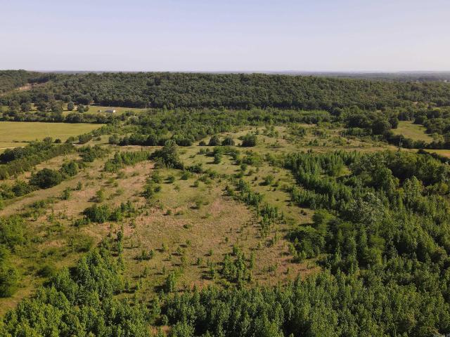 Lots and Land: MLS #26020