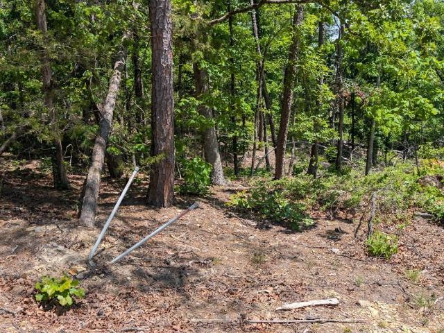 Lots and Land: MLS #26020