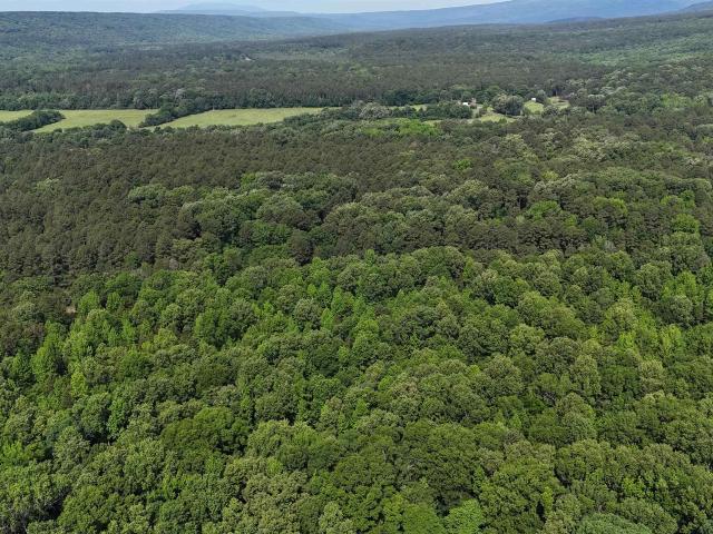 Lots and Land: MLS #26020