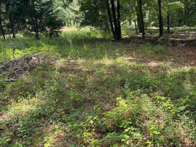 Lots and Land: MLS #26021