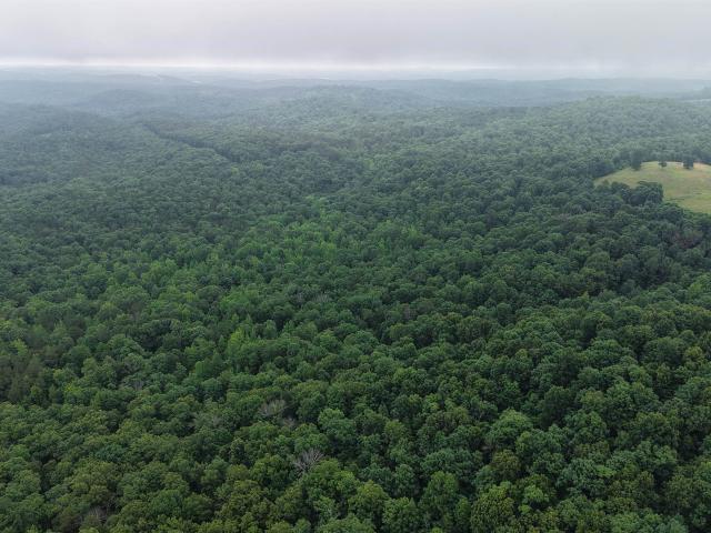 Lots and Land: MLS #26021