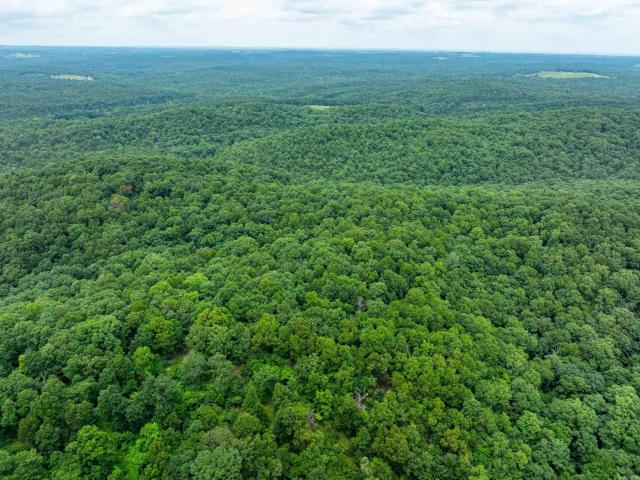 Lots and Land: MLS #26027