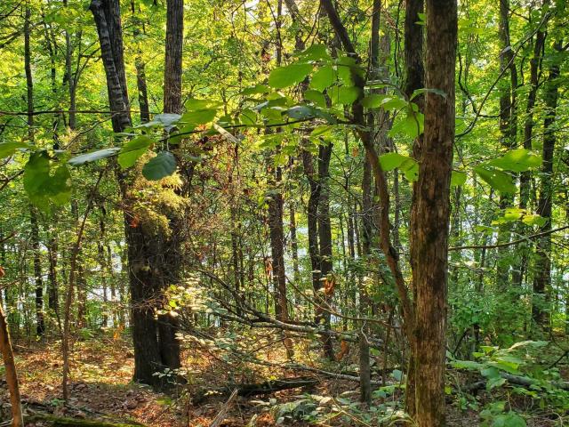 Lots and Land: MLS #26027