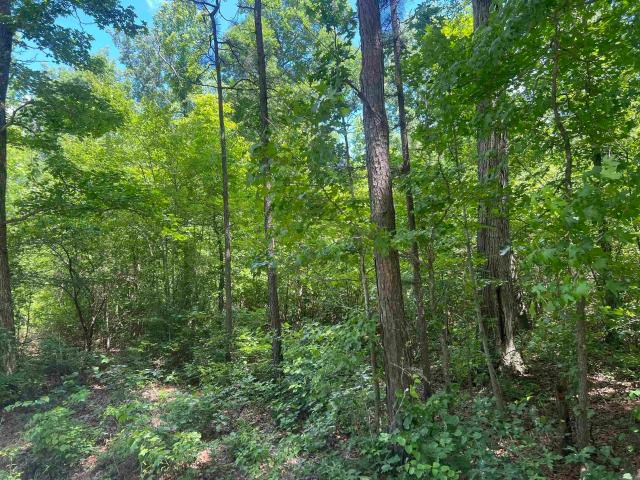 Lots and Land: MLS #26024