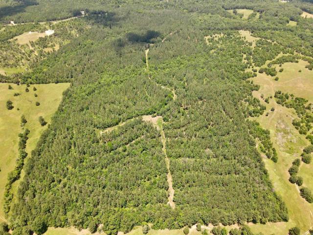 Lots and Land: MLS #26024