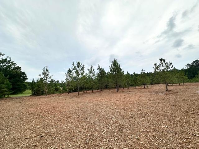 Lots and Land: MLS #26024