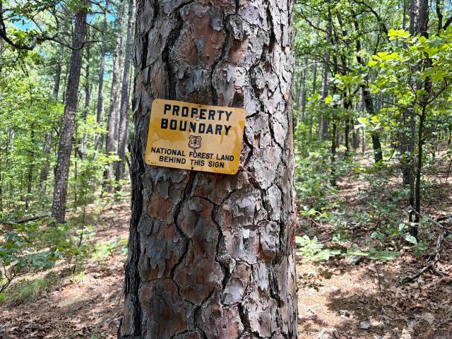 Lots and Land: MLS #26025