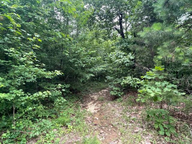 Lots and Land: MLS #26025