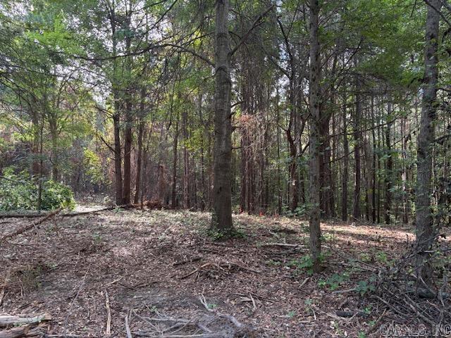 Lots and Land: MLS #26029