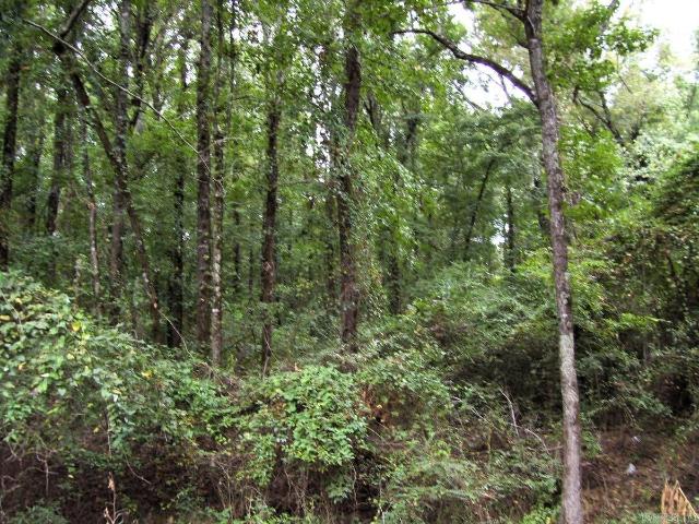 120 Little River 180