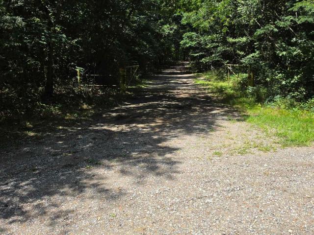 Lots and Land: MLS #26029