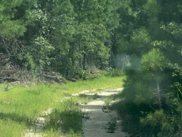 Lots and Land: MLS #26029