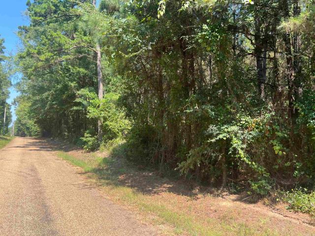 Lots and Land: MLS #26030
