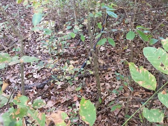 Lots and Land: MLS #26030