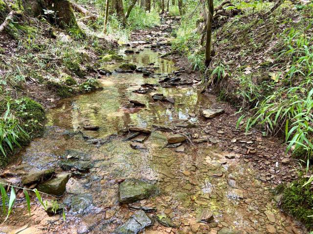 Lots and Land: MLS #26030