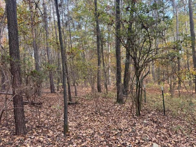Lots and Land: MLS #26030