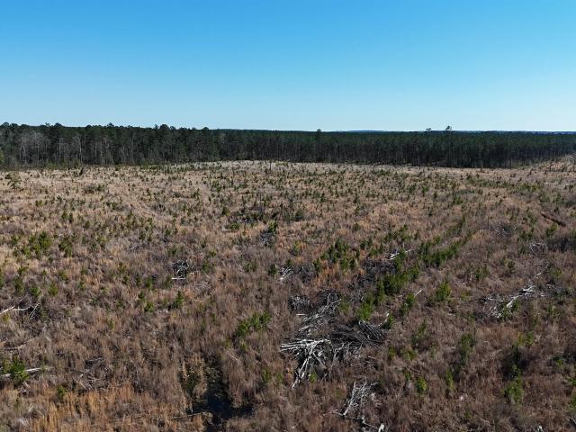 Lots and Land: MLS #26030