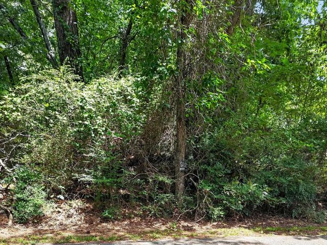Lots and Land: MLS #26030
