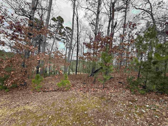 Lots and Land: MLS #26031