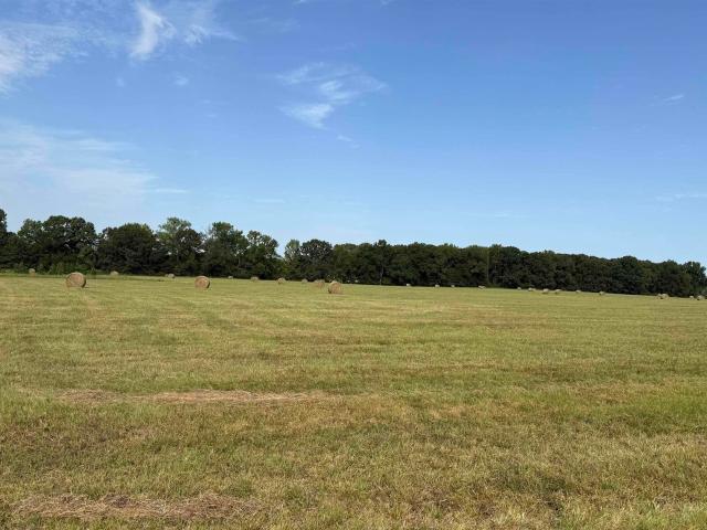 Lots and Land: MLS #26034