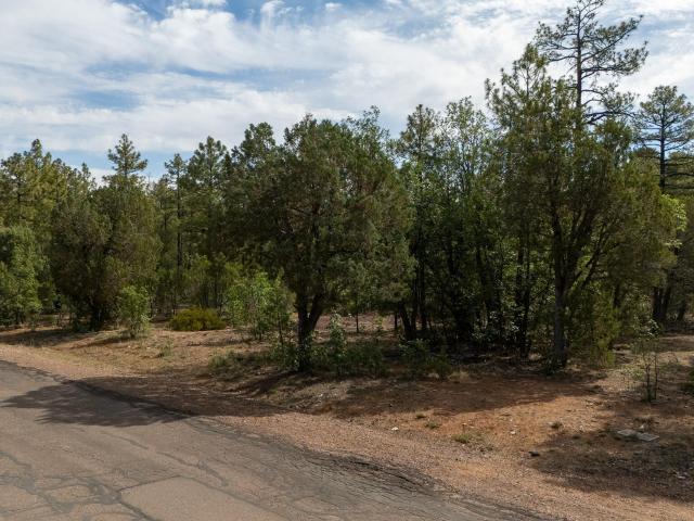 Lots and Land: MLS #261684