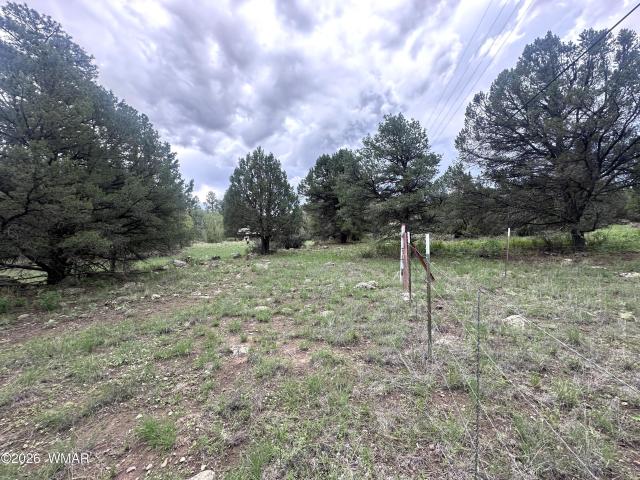Lots and Land: MLS #262426