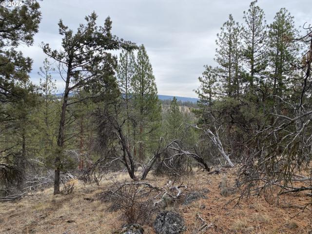 Lots and Land: MLS #277188