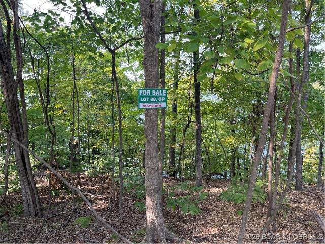 Lots and Land: MLS #3583