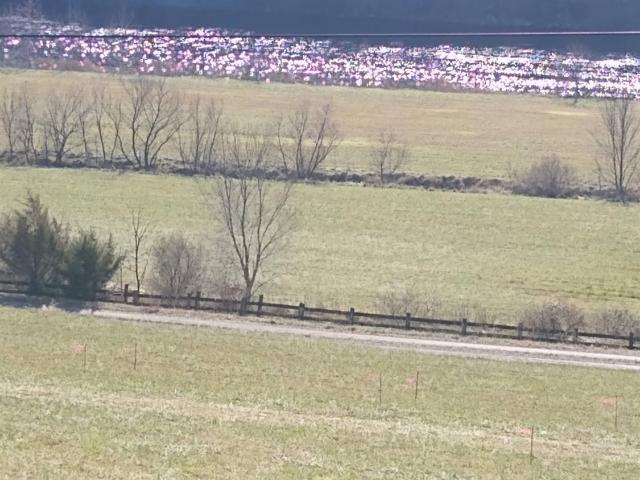 Lots and Land: MLS #366218