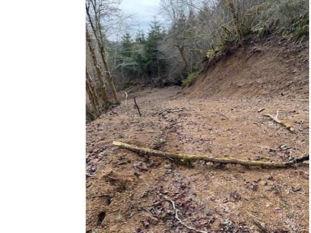Lots and Land: MLS #382968