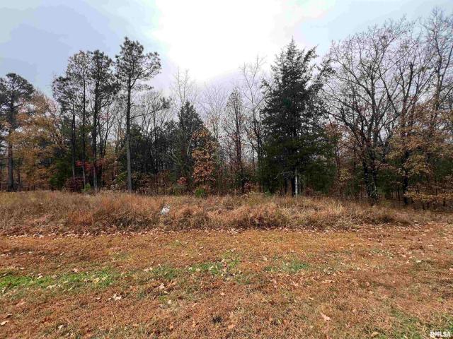 Lots and Land: MLS #EB460514