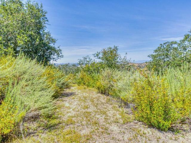 Lots and Land: MLS #ML82049