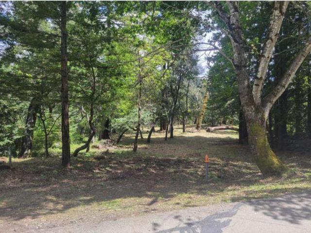 Lots and Land: MLS #ML82041
