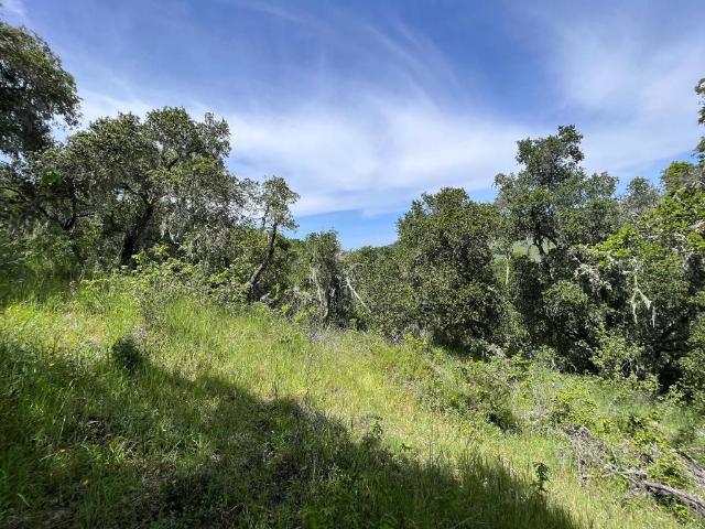 Lots and Land: MLS #ML82058