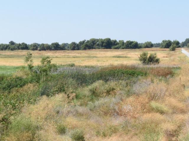 Lots and Land: MLS #ML82052