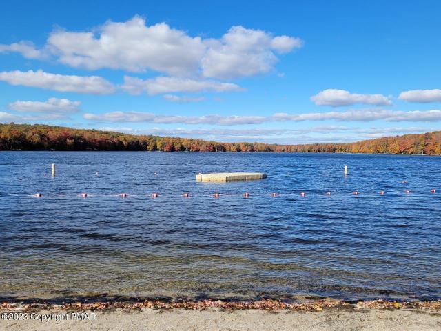 Lots and Land: MLS #PM130830