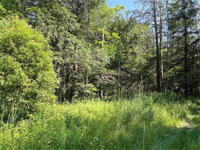 Lots and Land: MLS #R1675