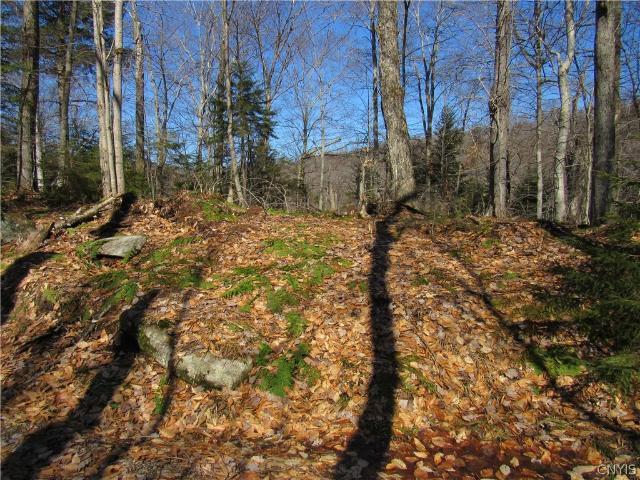 Lots and Land: MLS #S1668