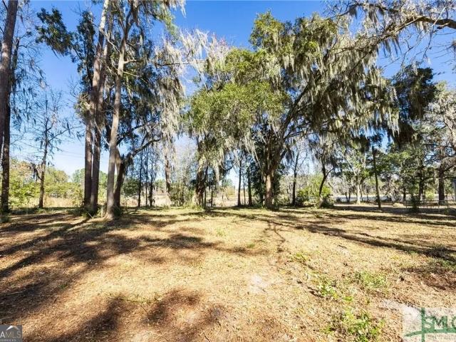 LOTS 14,15 & 16 E Poncell Drive