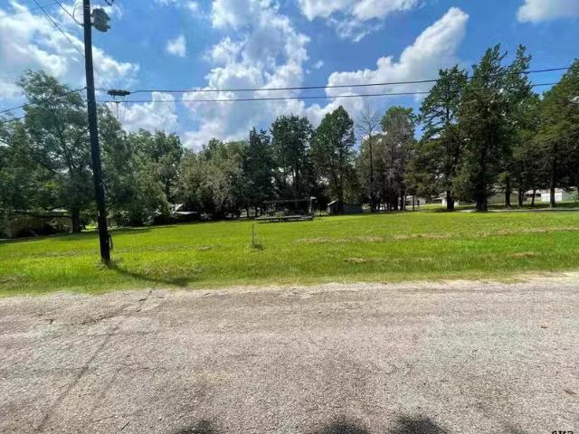 Lots 14 16 Davis, Quitman, TX 75783 MLS 24010956