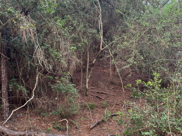Lots 158 and 159 Hekili Dr