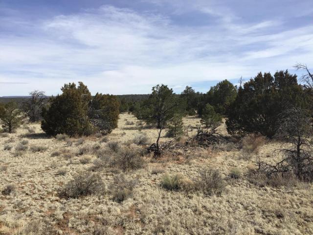 Lots 15 16 Country Lane