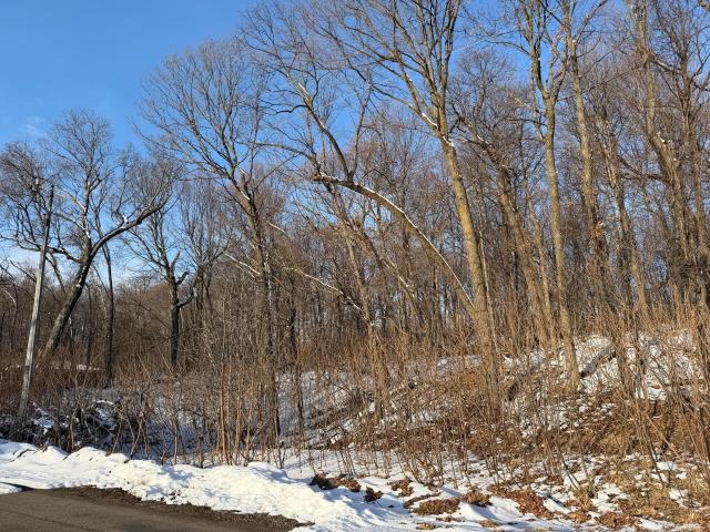 Lots 119 Earle Brown Drive