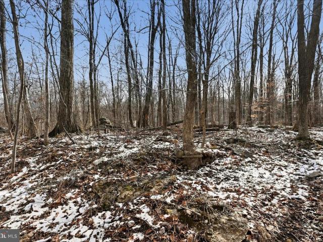 Lots 123 & 124 Tulip Tree Way