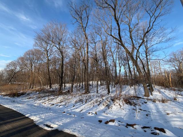 Lots 120 & 121 Earle Brown Drive