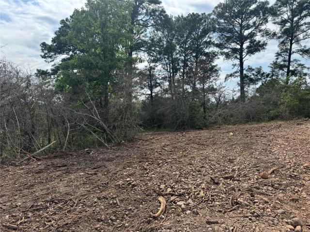 Lots 1263, 1264, 1265 Hanauma Dr