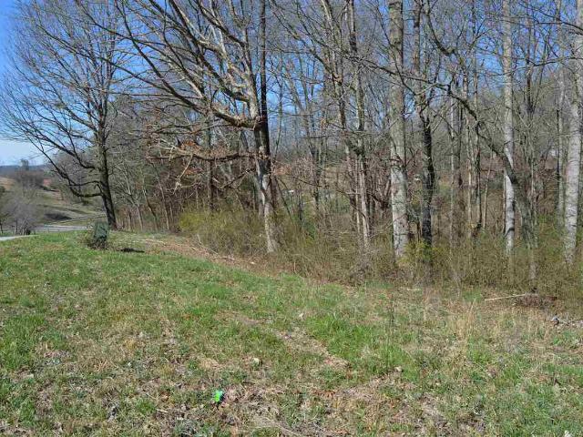Lots 1 & 2 County Road 321