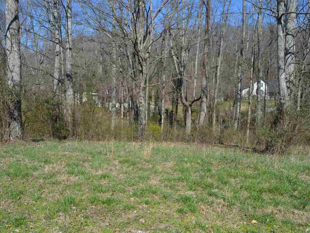Lots 1& 2 County Road 321
