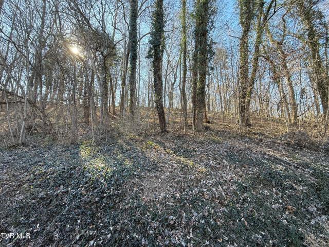 Lots 1 4 Bishop Hollow Road