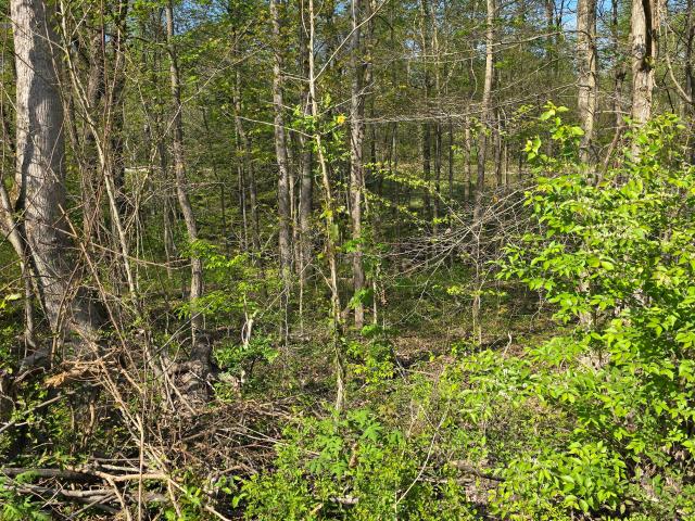 Lots 29, 30 Suncrest Drive # Lots 29 & 30